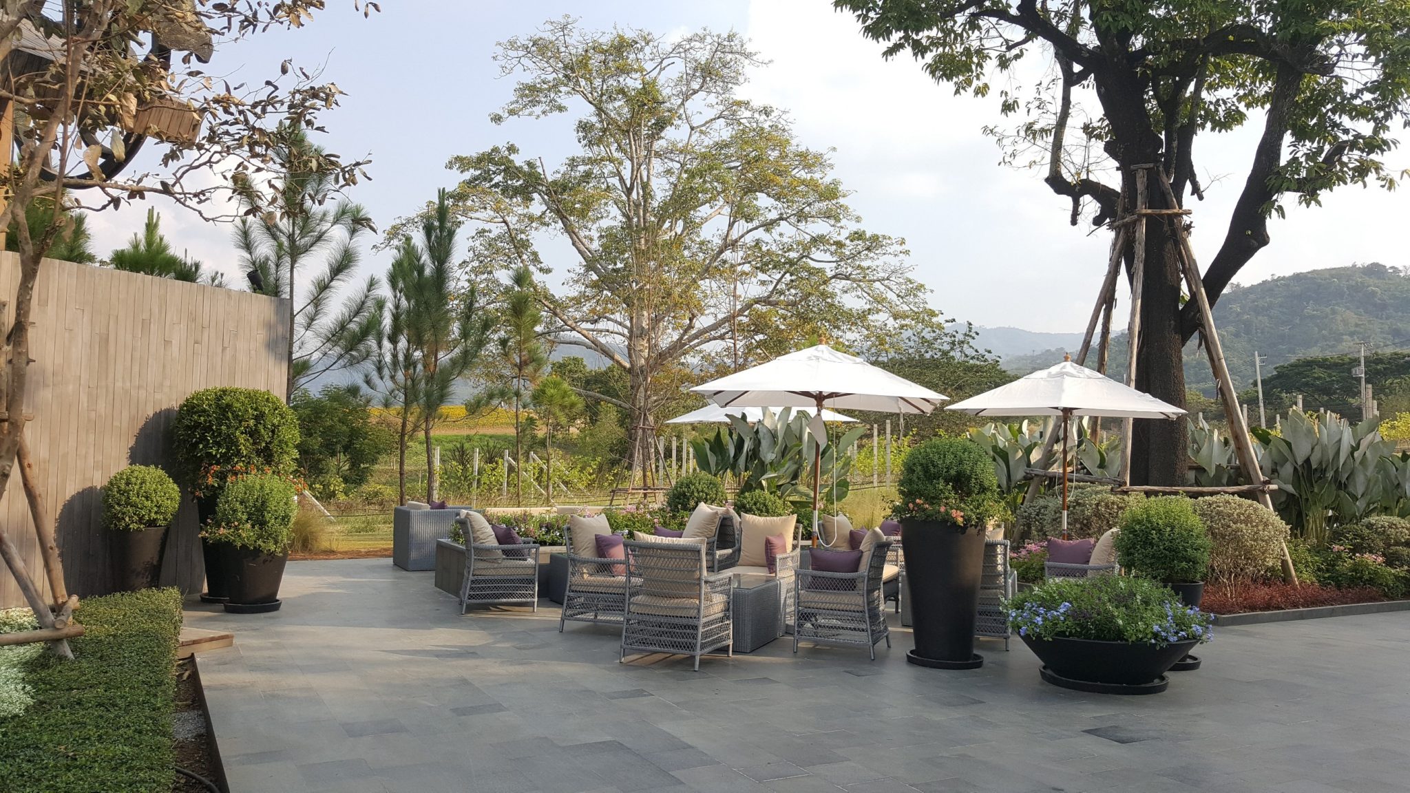 Pirom Cafe’_α╣æα╣ÿα╣Éα╣Æα╣Æα╣û_0038 | Pirom At Vineyard